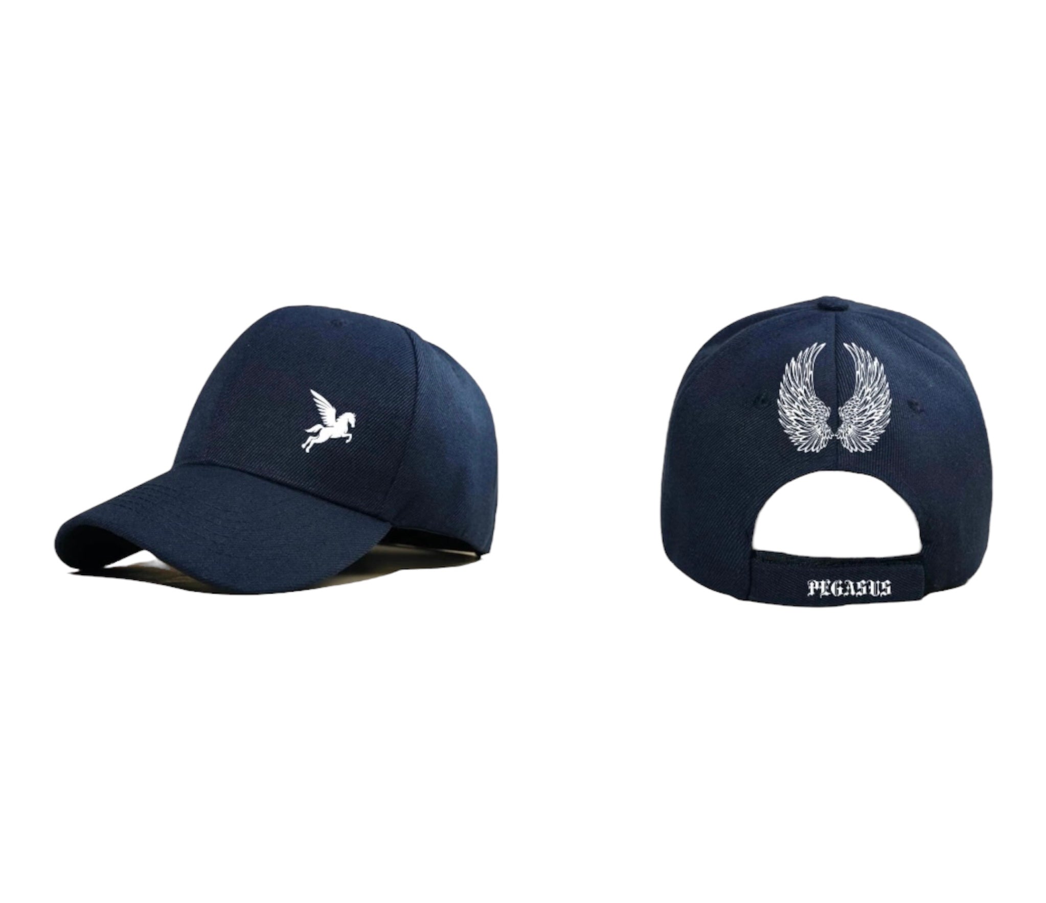 WILD WINGS CAP - Pegasus